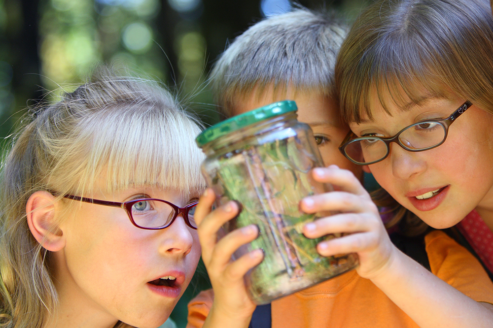 Wildlings Holiday Club